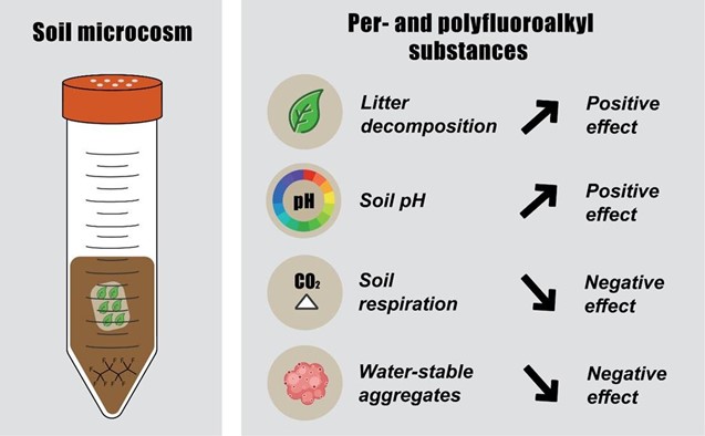 Effects of PFAS on soil structure and function